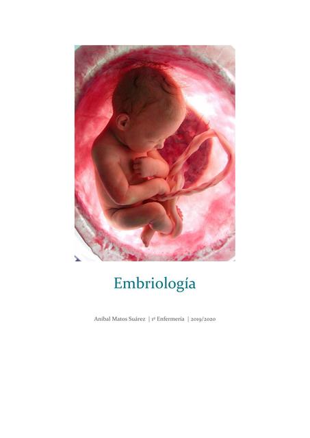 Embriología | anibal matos | uDocz