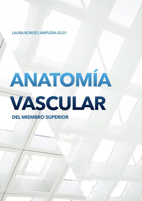 Anatomía Vascular del Miembro Superior | Laura Borges | uDocz
