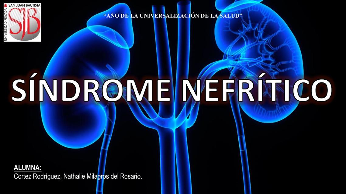 El síndrome nefrítico | Nathalie C. Rodríguez | uDocz