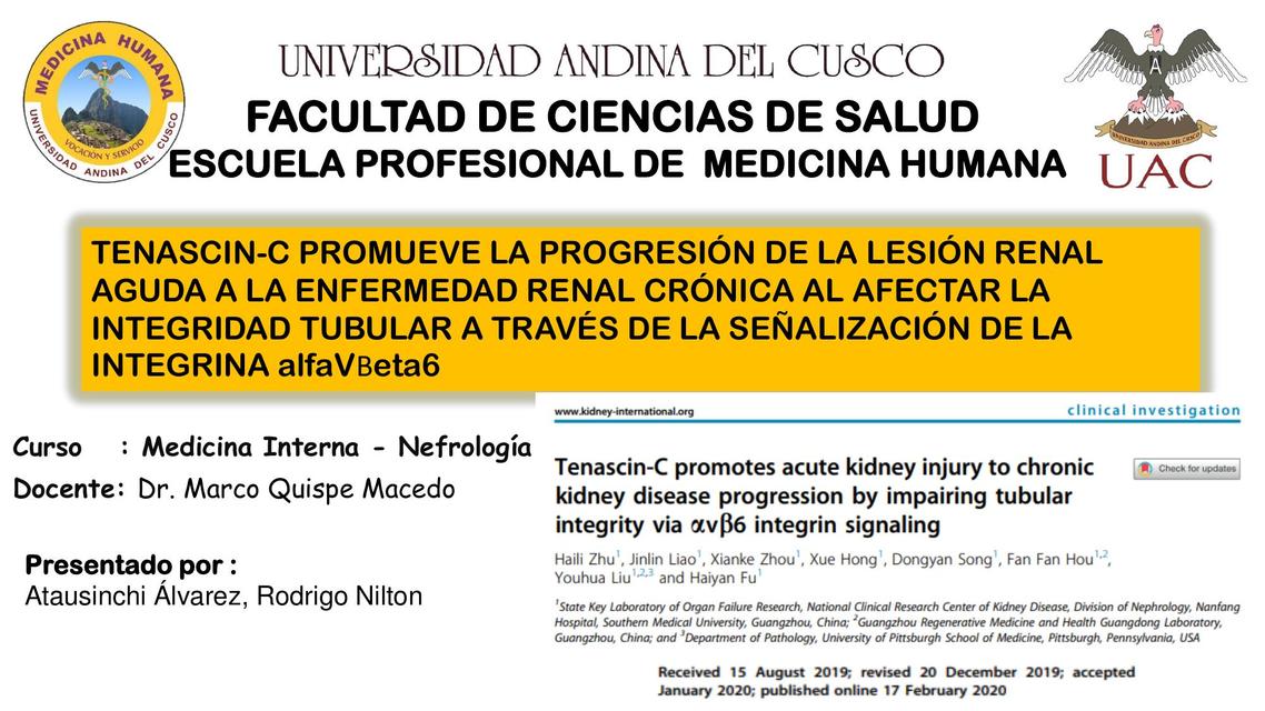 Tenascina C | Rodrigo Atausinchi Alvarez | uDocz