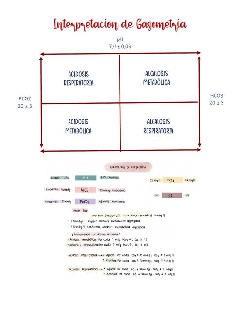 Interpretación de Gasometría | Ana Lilia Valle | uDocz