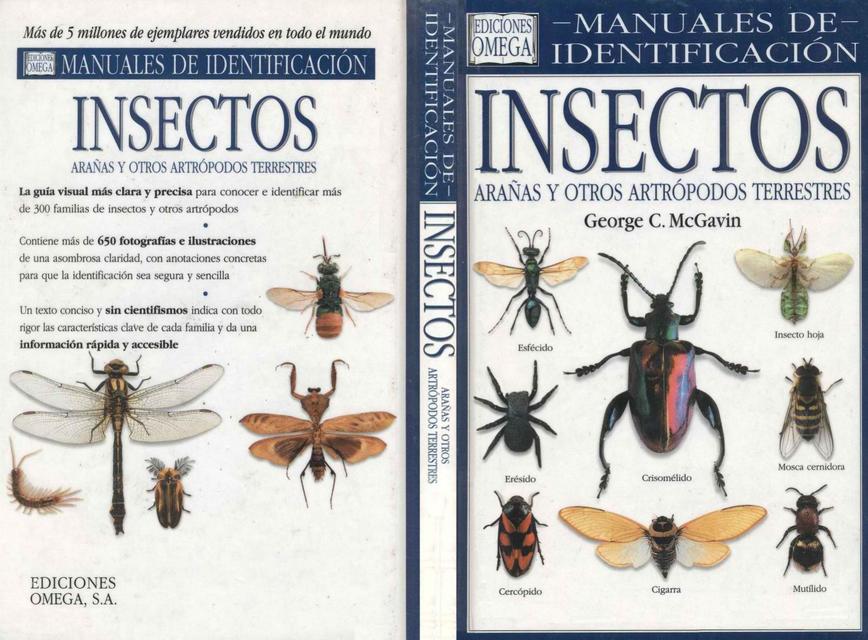 Manual de Identificación de Insectos Arañas y Otros Artrópodos ...