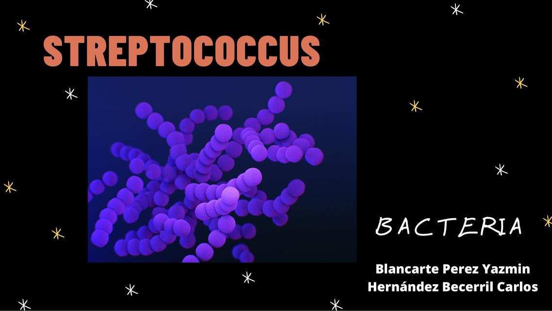 Streptococcus Estreptococos | Yazmin | uDocz