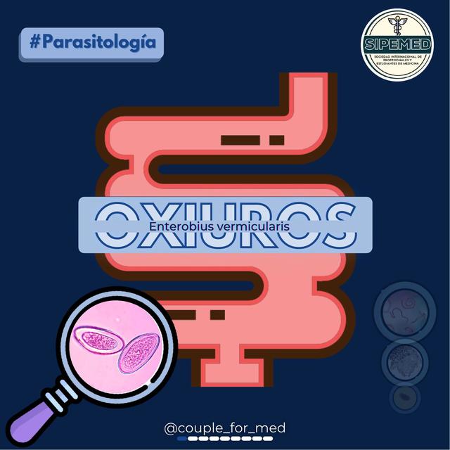 Oxiuros | Couple For Med | uDocz