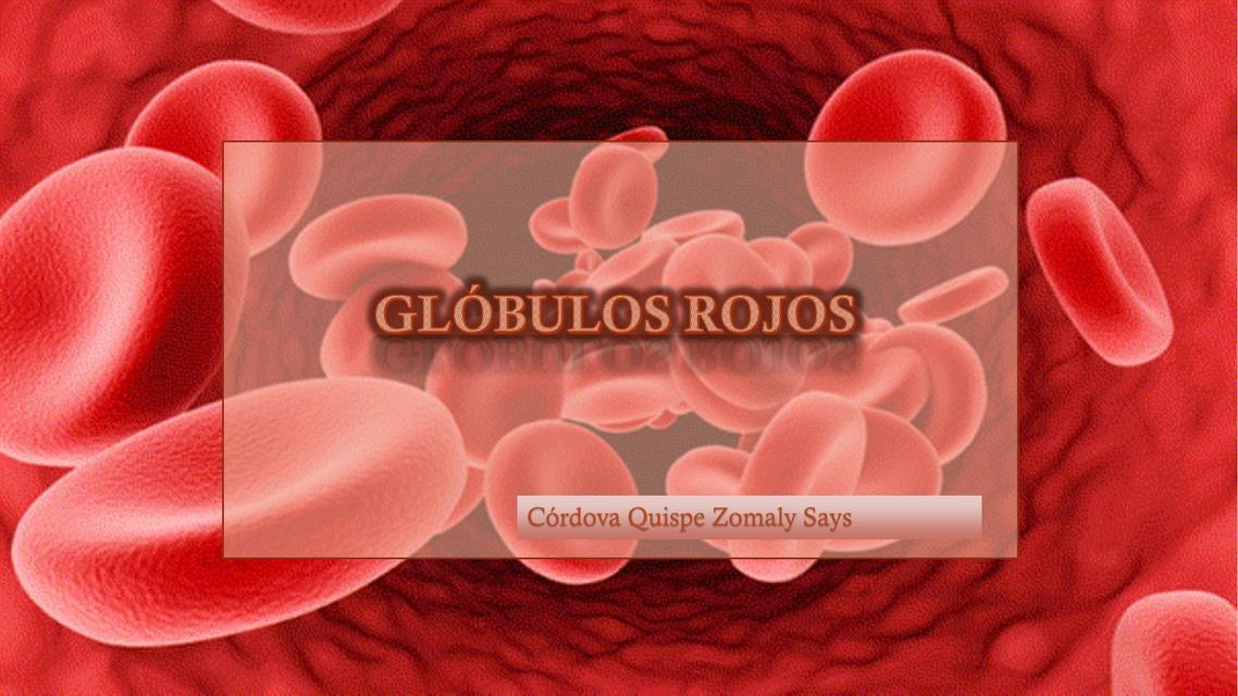 Glóbulo Rojo Fisiología | zomaly Córdova | uDocz