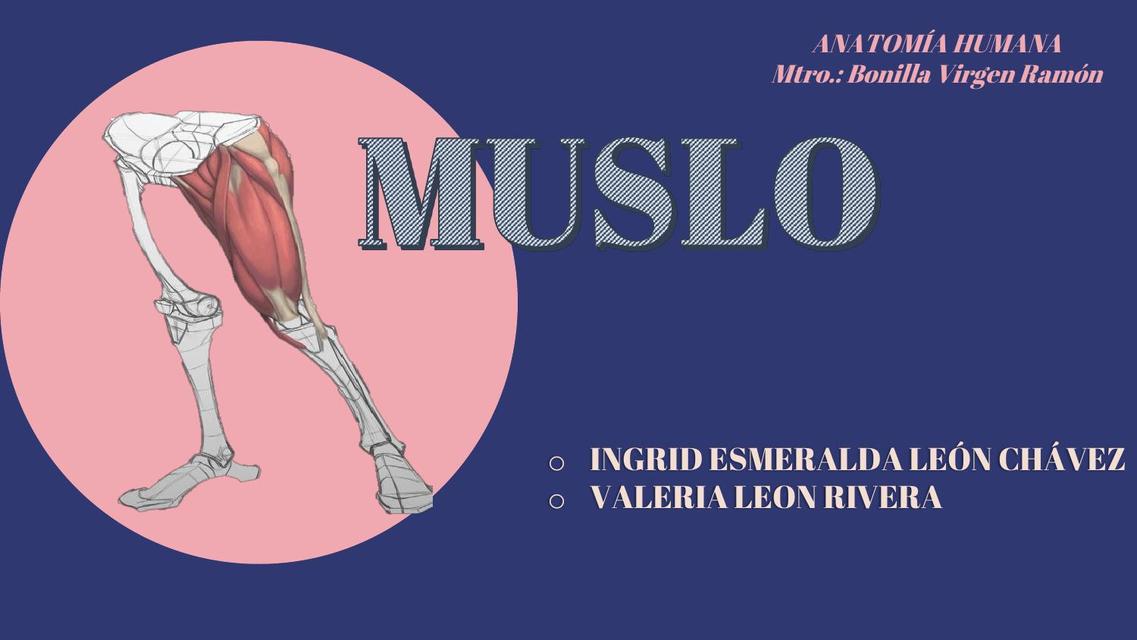 Muslo | Ingrid Esmeralda Leon Chavez | uDocz