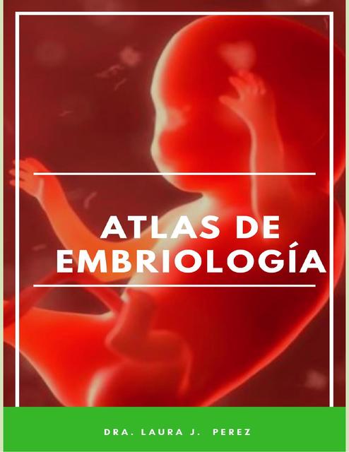 EMBRIOLOGIA | uDocz