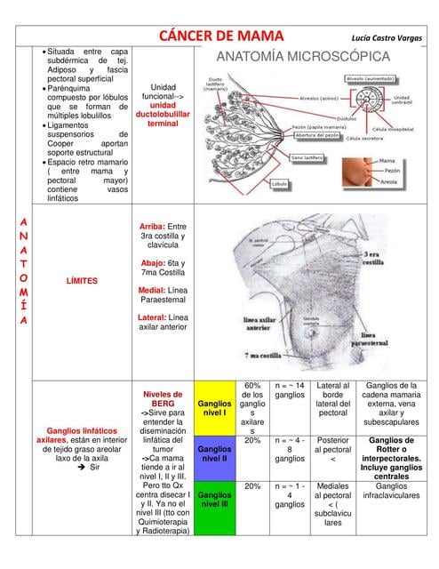 CÁNCER DE MAMA COMPLETO - CIRUGÍA I | Mis apuntes de Medicina | uDocz