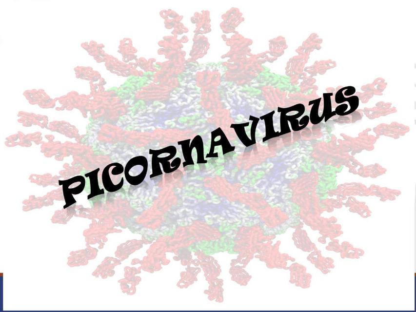 CLASE DE PICORNA VIRUS | Iris Tolentino | uDocz