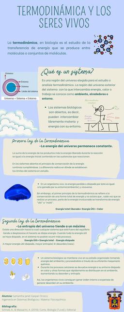 Termodinámica y los seres vivos Infografía | Samantha Janet Gaspar ...