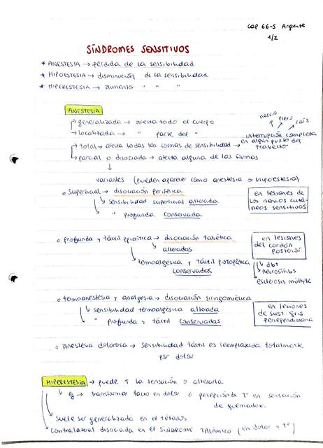 Resumen de Síndromes Sensitivos (Argente) | Valen Dogovich | uDocz