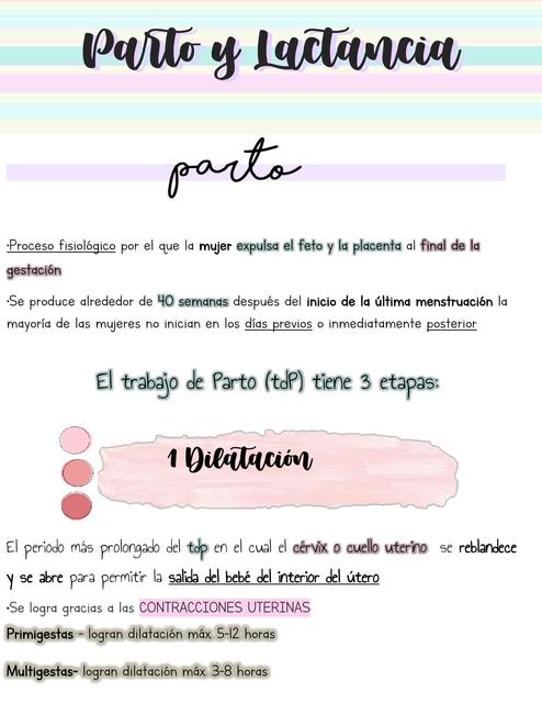 Parto y Lactancia | lizeth miranda | uDocz