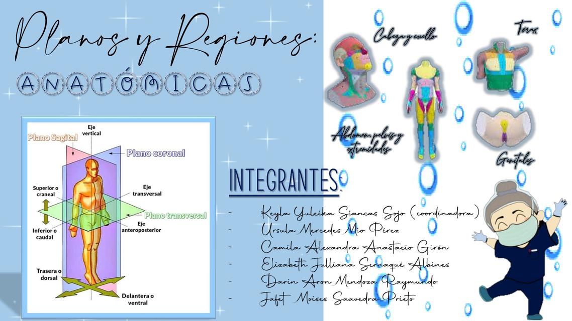 Planos y Regiones Anatómicas | CAMILA ALEXANDRA ANASTACIO GIRON | uDocz