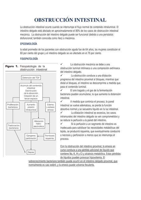 Resúmenes de Obstrucción intestinal | Descarga apuntes de Obstrucción ...