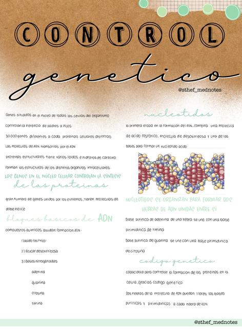Control Genético | Esthefany Pérez Zambrana | uDocz