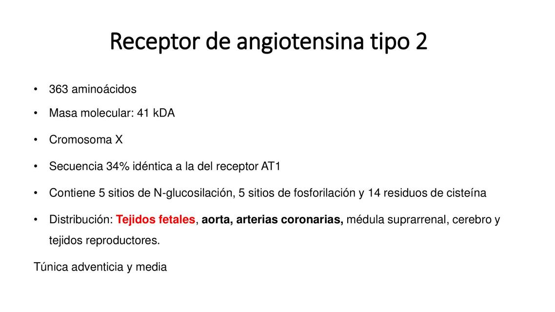 Receptor de angiotensina tipo 2 | apun.tesmedicina | uDocz