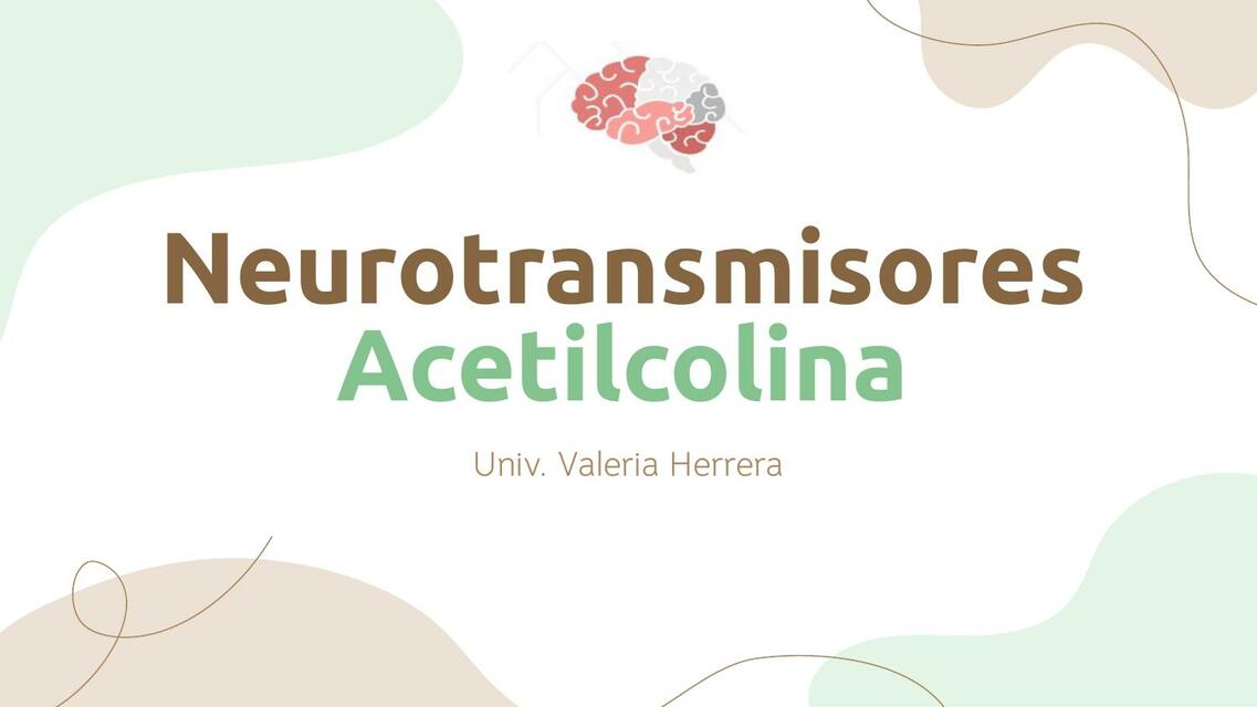 Neurotransmisores Acetilcolina | Imed_ apuntes | uDocz