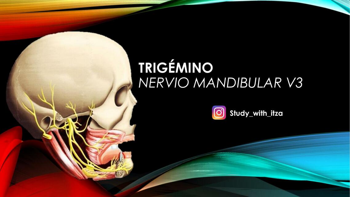 Resúmenes de Nervio trigémino | Descarga apuntes de Nervio trigémino