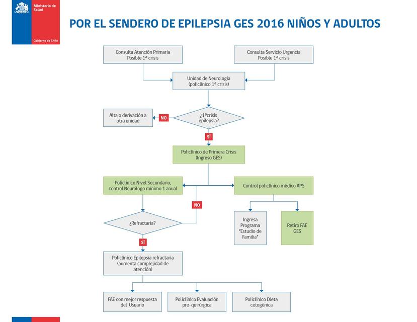 Algoritmo De Tratamento De Epilepsia
