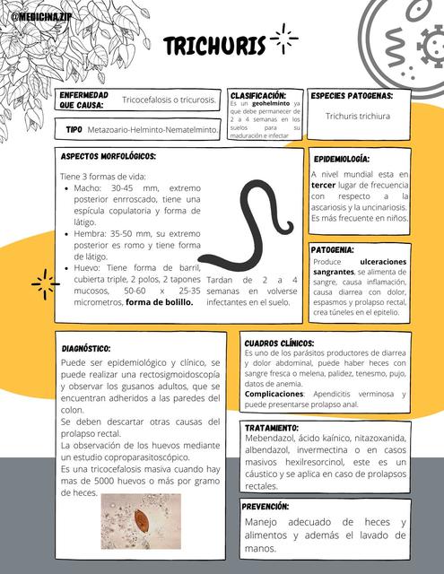 Trichuris | Medicina.zip | uDocz