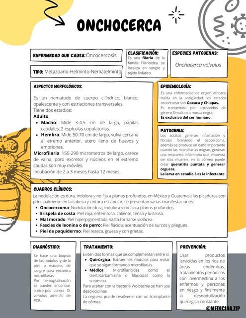 Onchocerca | Oncocercosis | Onchocerca | uDocz Onchocerca | Oncocercosis | Onchocerca | uDocz