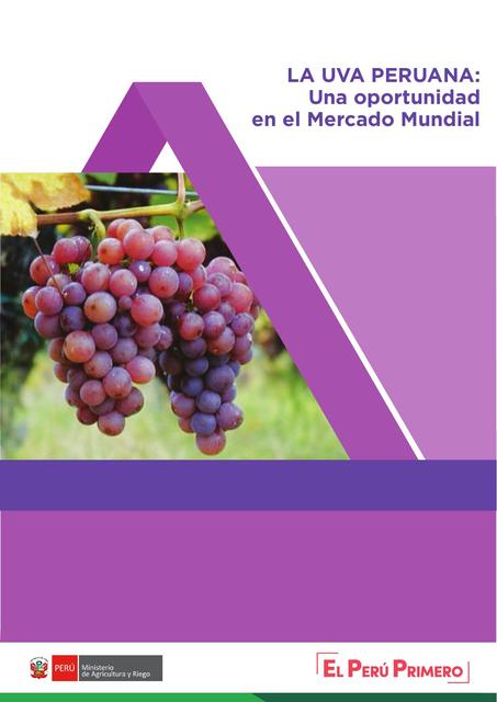 La Uva peruana Una oportunidad en el Mercado Mundial | neiser santos ...