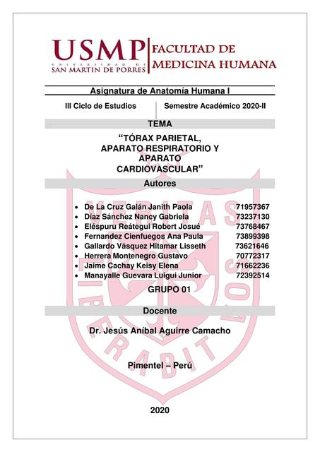 Flashcards de Tórax Parietal Aparato Respiratorio y Aparato Cardiovascular | Por Tiroxina Med 🩺 ...