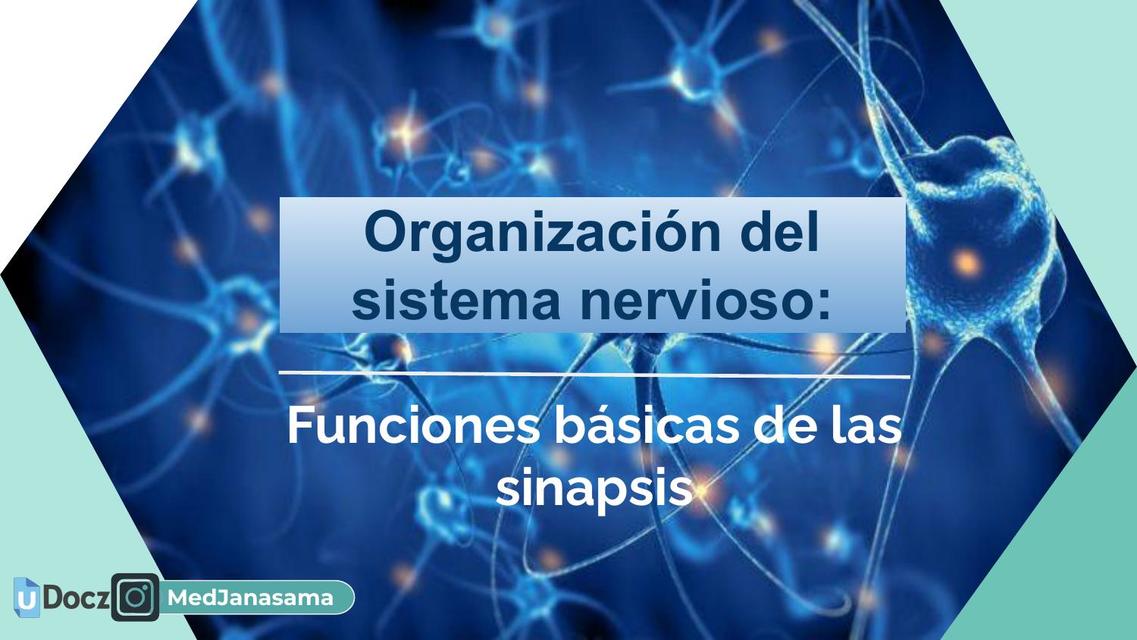 Funciones básicas de las sinapsis | Med Jana sama | uDocz