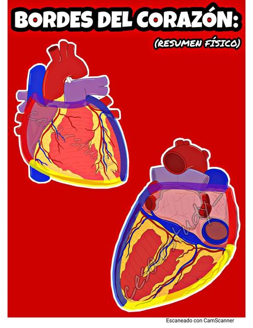 Bordes del corazón Resumen físico | Cesarstudy_ | uDocz