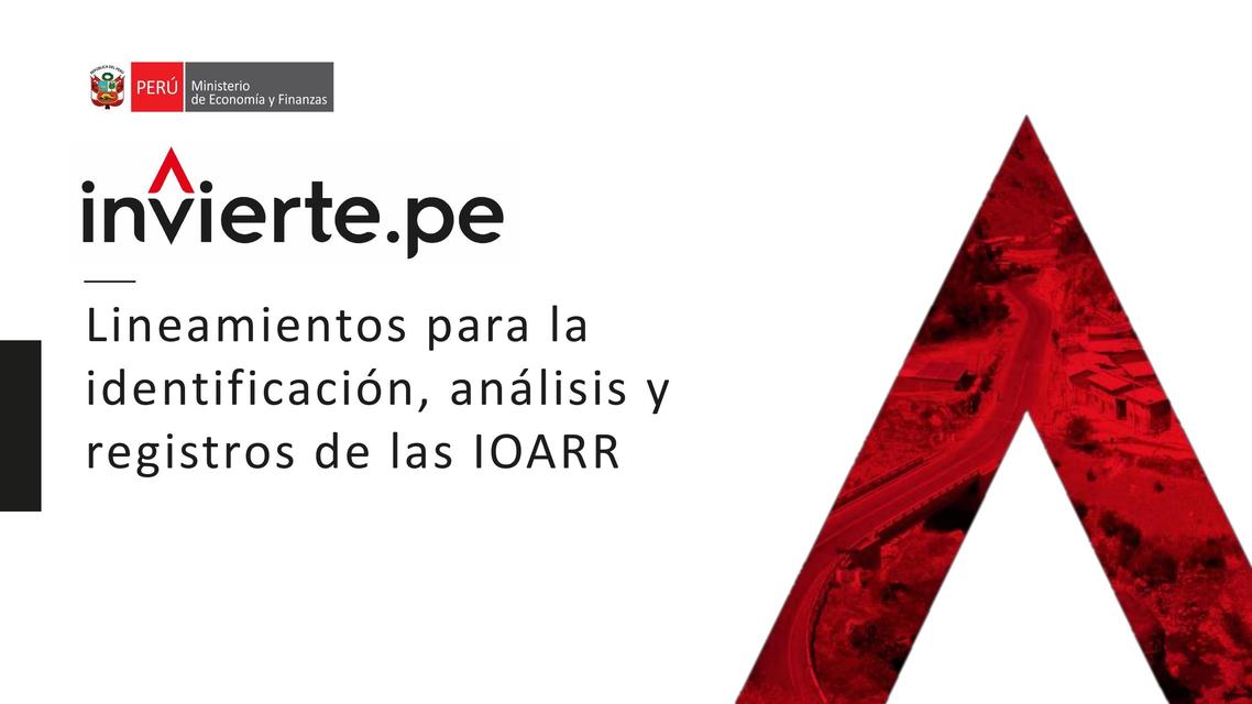 Lineamientos para la identificación, análisis y registros de las IOARR ...