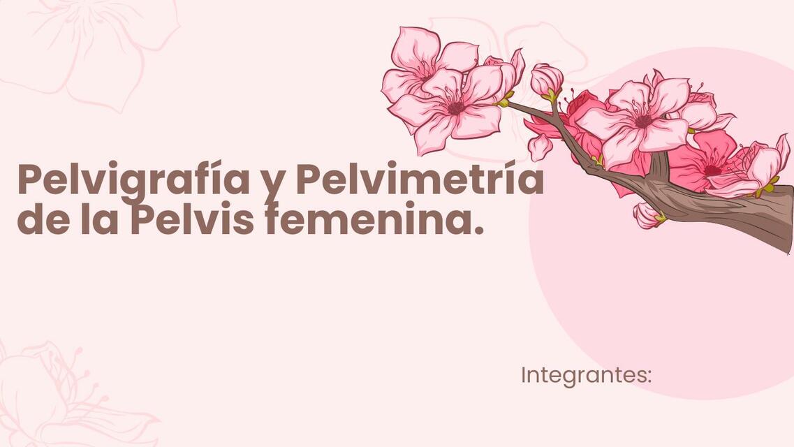 Pelvigrafía y Pelvimetría de la Pelvis Femenina | Samantha Herrera | uDocz