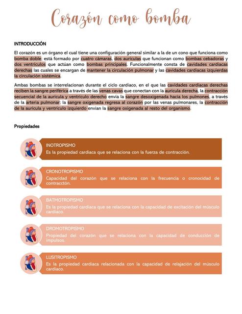 Corazón como Bomba | Nelly_notes.med | uDocz