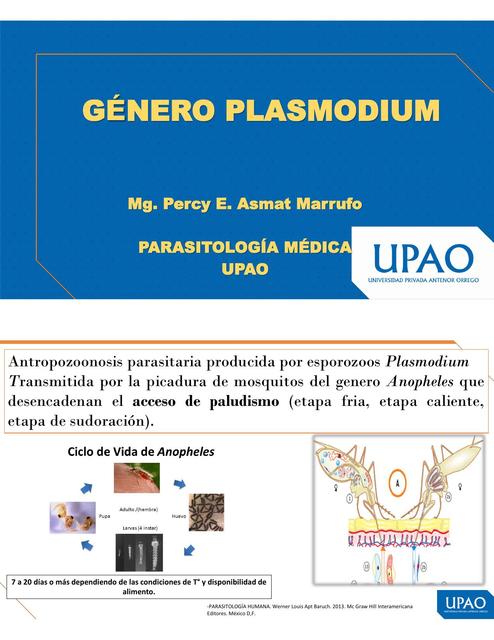Género Plasmodium | Benjamin Aaron Vega Vera | uDocz