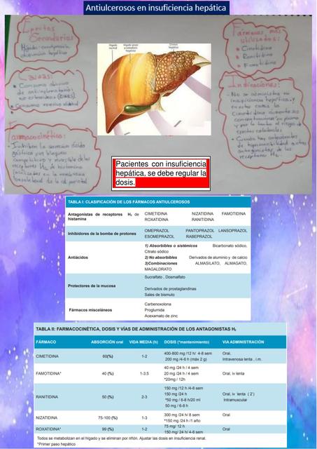 Antiulcerosos en Insuficiencia Hepática | RUTH MICHALLI VARGAS CANDIA ...