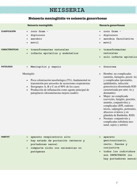 Neisseria meningitidis vs neisseria gonorrhoeae | Neisseria | Neisseria ... Neisseria meningitidis vs neisseria gonorrhoeae | Neisseria | Neisseria ...