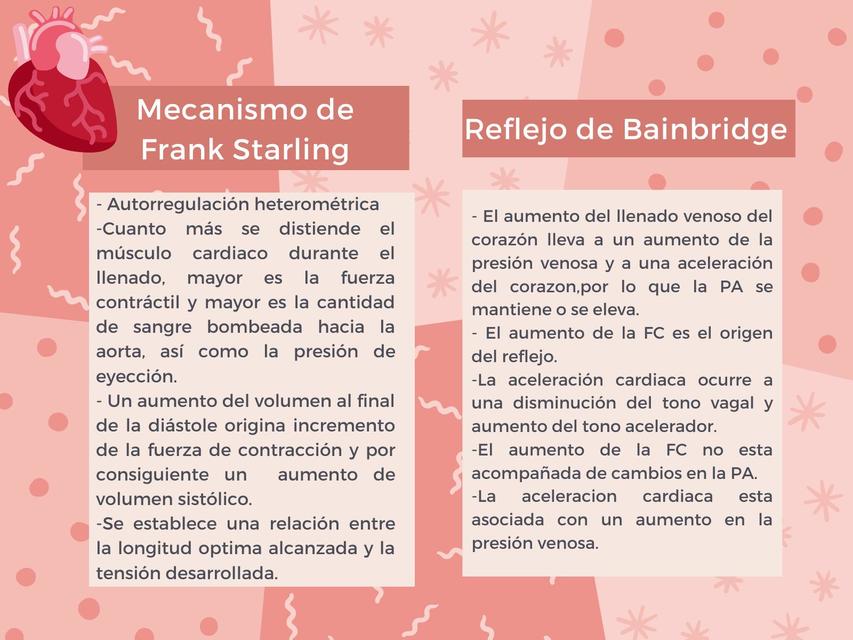 Reflejos simpaticos | FATIMA SANCHEZ | uDocz