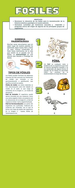 Fósiles | Susana Elizabeth Badilla Wagner | uDocz