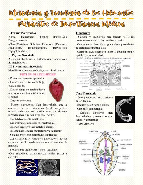 APUNTE | Alisson1108 | uDocz