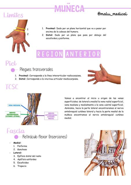 Muñeca | Malu Medical | uDocz