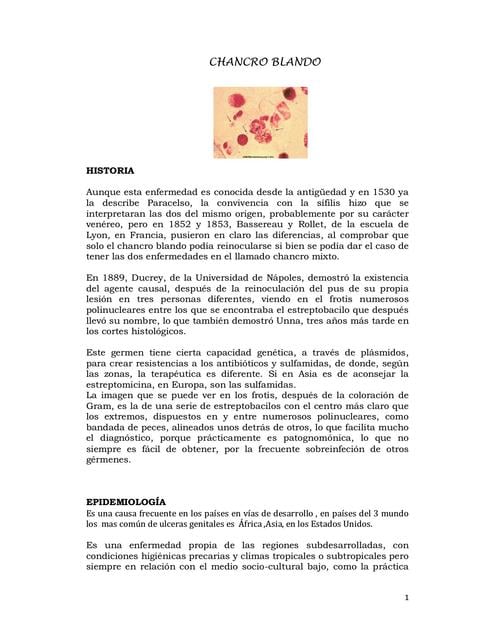 Resúmenes de Chancroide | Descarga apuntes de Chancroide