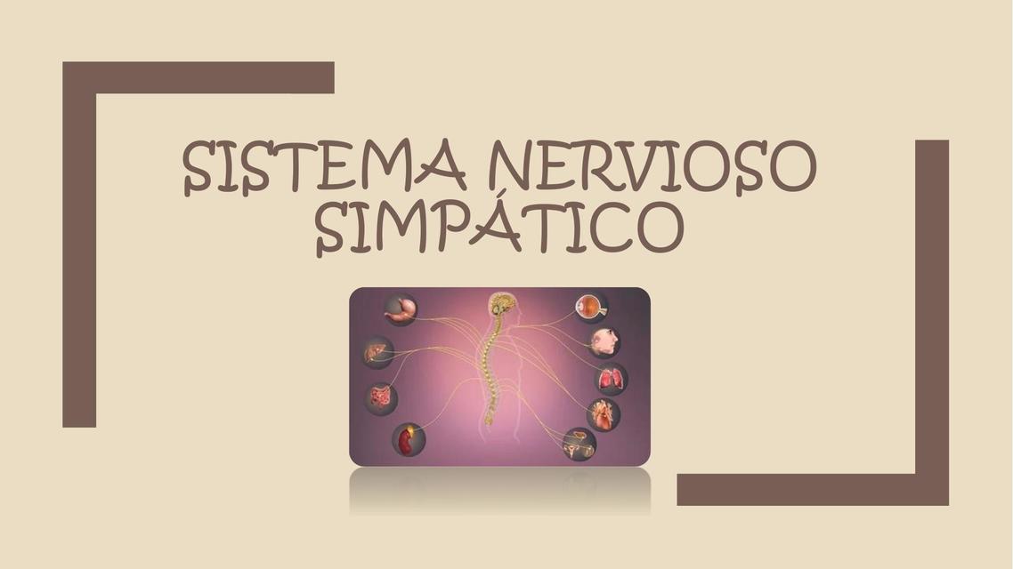 Sistema Nervioso Simpático