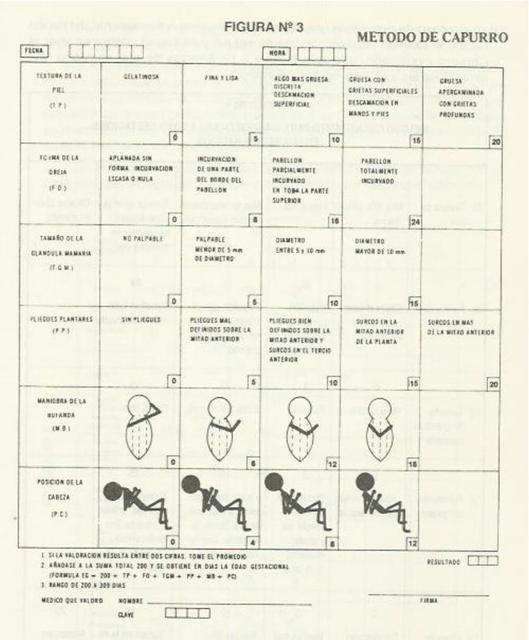 Test de Capurro | Leonela Cordova Vena | uDocz