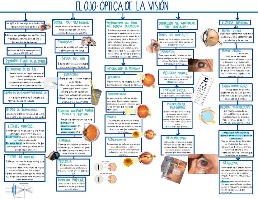 Óptica de la visión