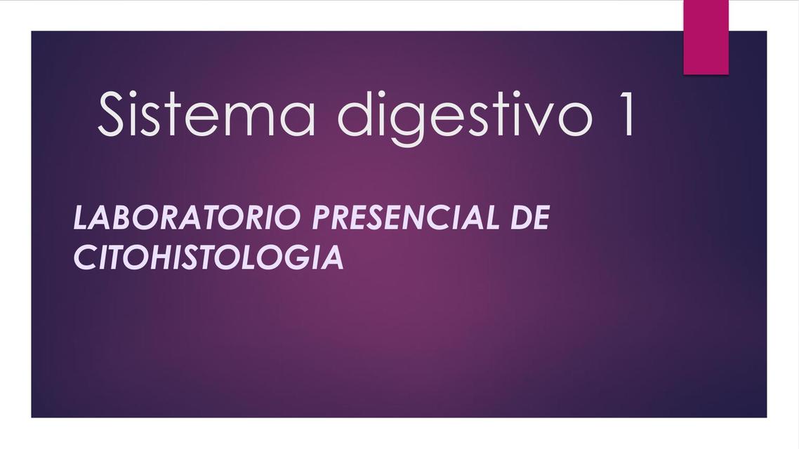 Sistema digestivo 1 | Dayana Ruiz | uDocz