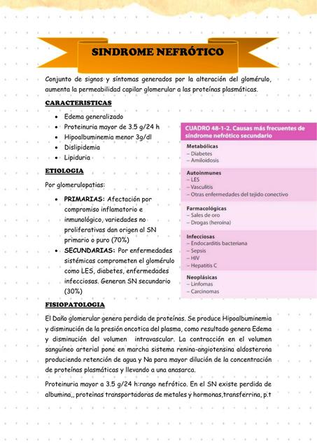Síndrome Nefrótico | Ceci Z | uDocz