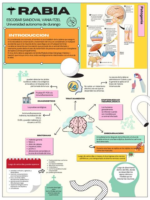 Rabia | Med_Docz | uDocz