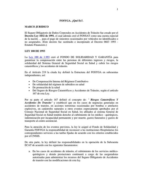 Fosyga | Enfermero Isaias Rivas | uDocz