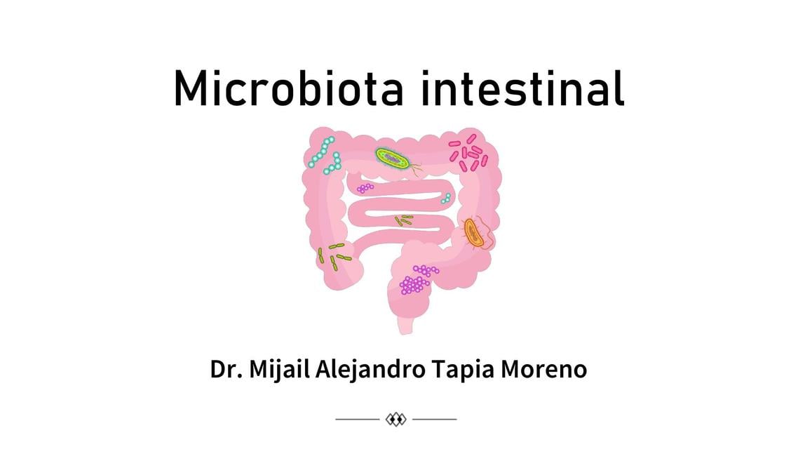 Microbiota intestinal | Dr. Mijail Tapia Moreno | uDocz