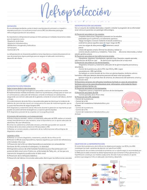 Nefroprotección paulina mednotes | Paulina_mednotes | uDocz