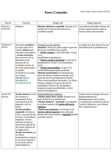 Pares Craneales | araceli lopez | uDocz